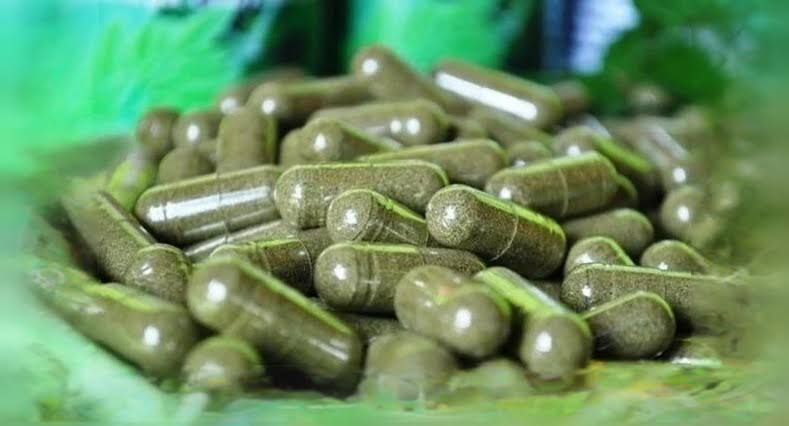 Herbal Capsules – Herbalist Farm